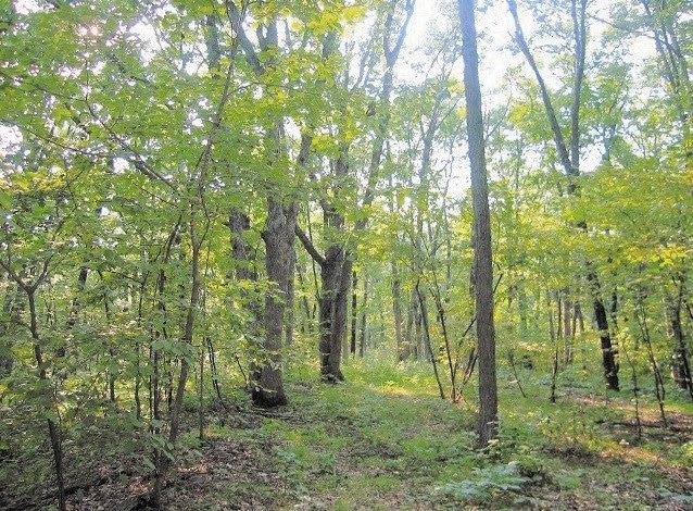 xxx Yarrow Trail, Kirksville, MO 63501 | MLS: 39386 | Land.com