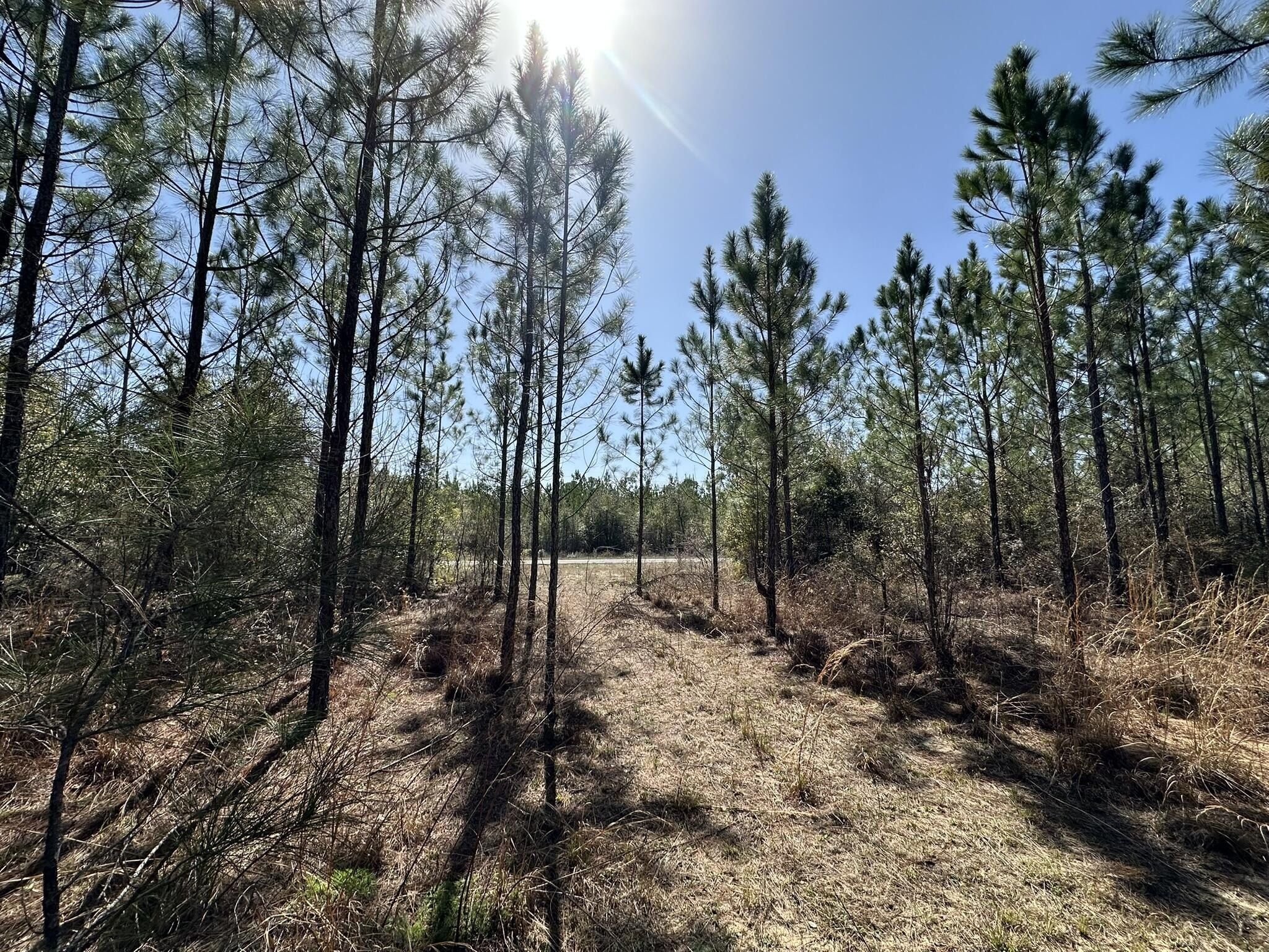 Tract#6416 Douglas Ferry North Road, Caryville, FL 32427 | MLS: 971635 ...