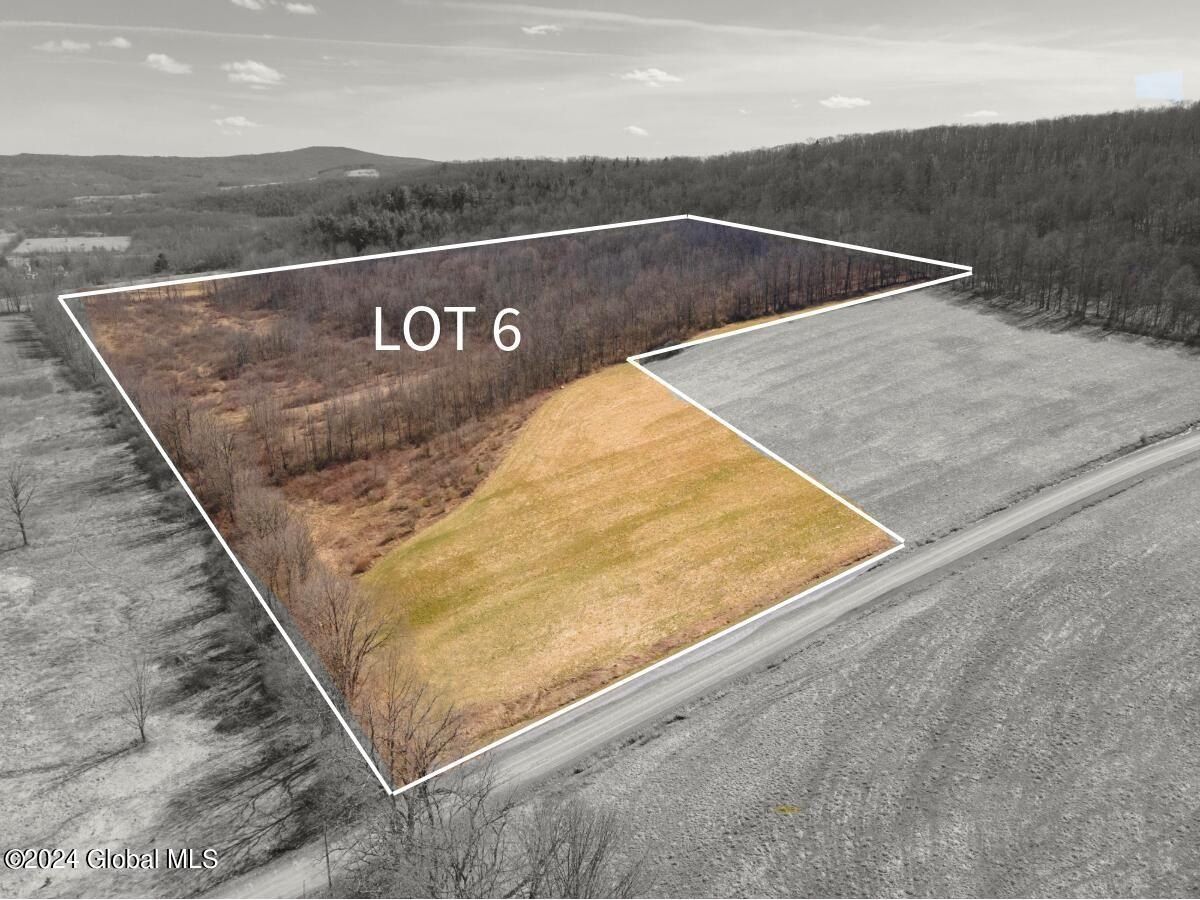 L6 Patrick Road, Richmondville, NY 12149 | MLS: 202513713 | Land.com