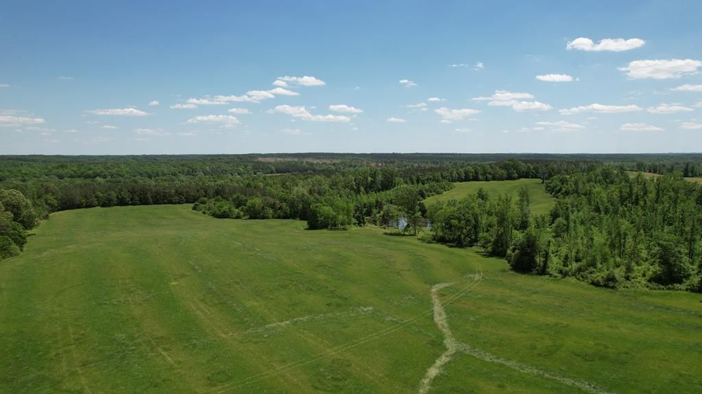 00 00 Saxkey Rd, Saxe, VA 23967 | MLS: 55501 | Land.com