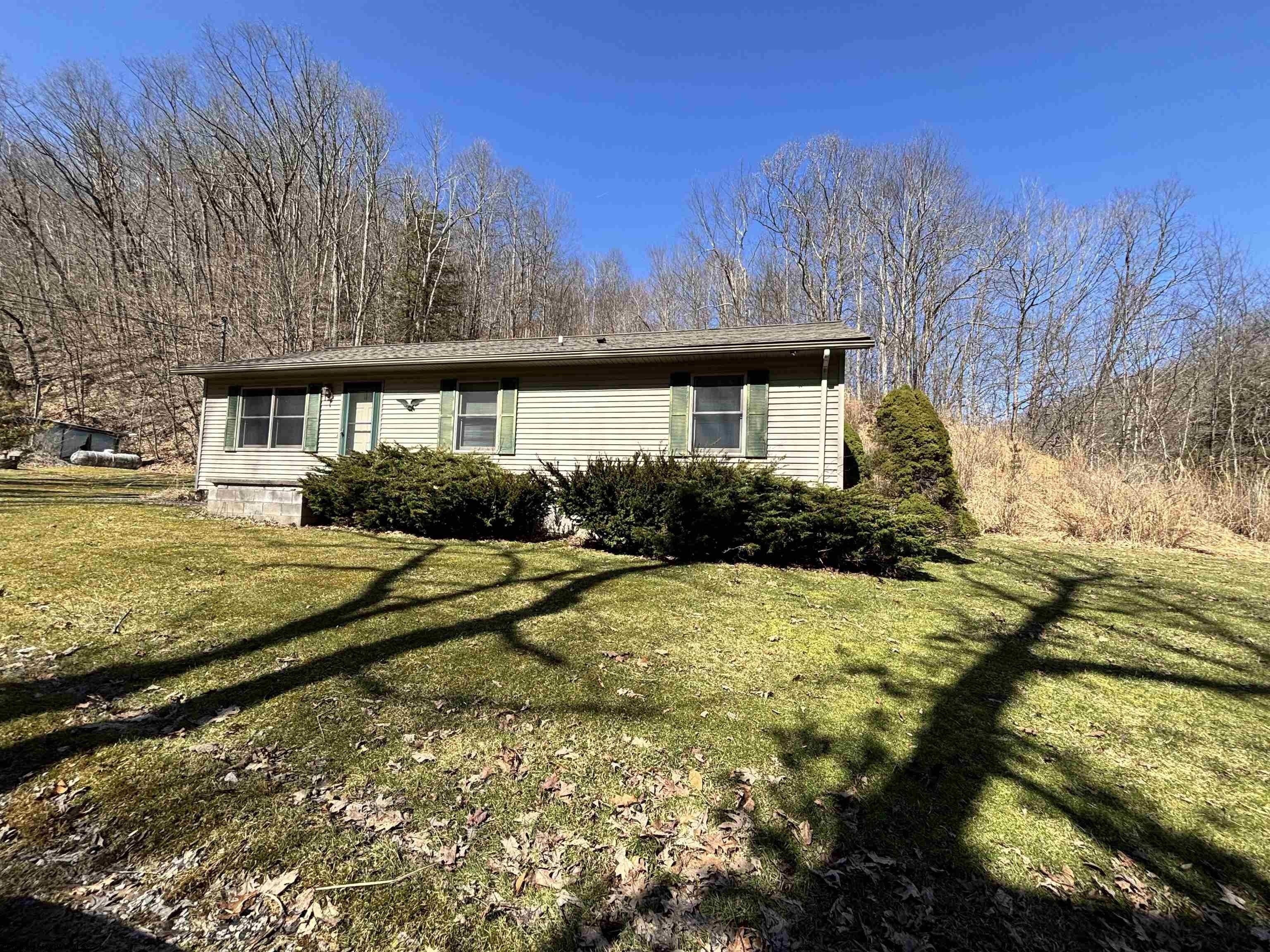 181 Old Weaver Road, Elkins, WV 26241 | MLS: 10158500 | Land.com