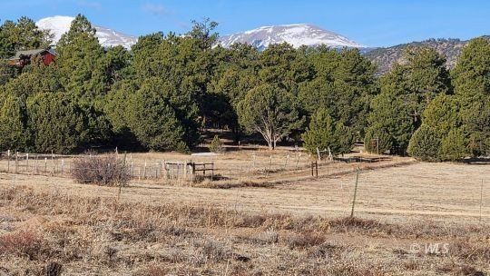 TR-36 23rd Trail, Cotopaxi, CO 81223 | MLS: 2517210 | Land.com