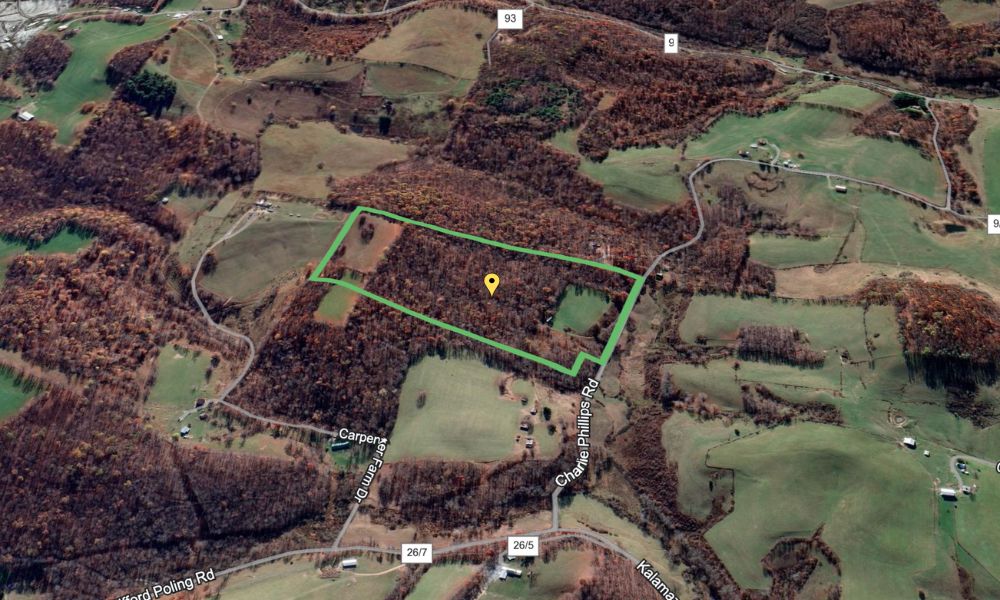 838 Charlie Phillips Rd, Belington, WV 26250 | Land.com