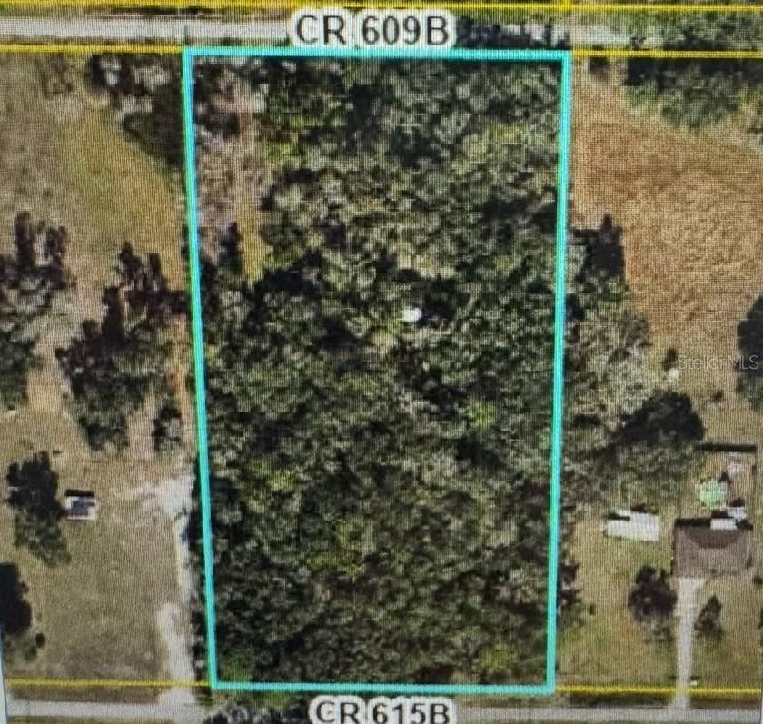CR 609B, Bushnell, FL 33513 | MLS: TB8364965 | Land.com
