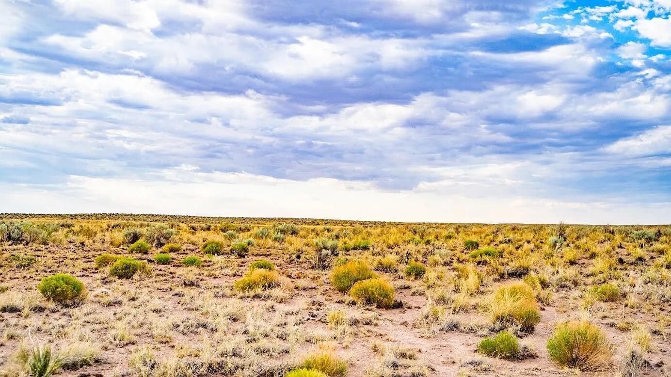 40 acres in Chambers, AZ, 86502 | Land.com