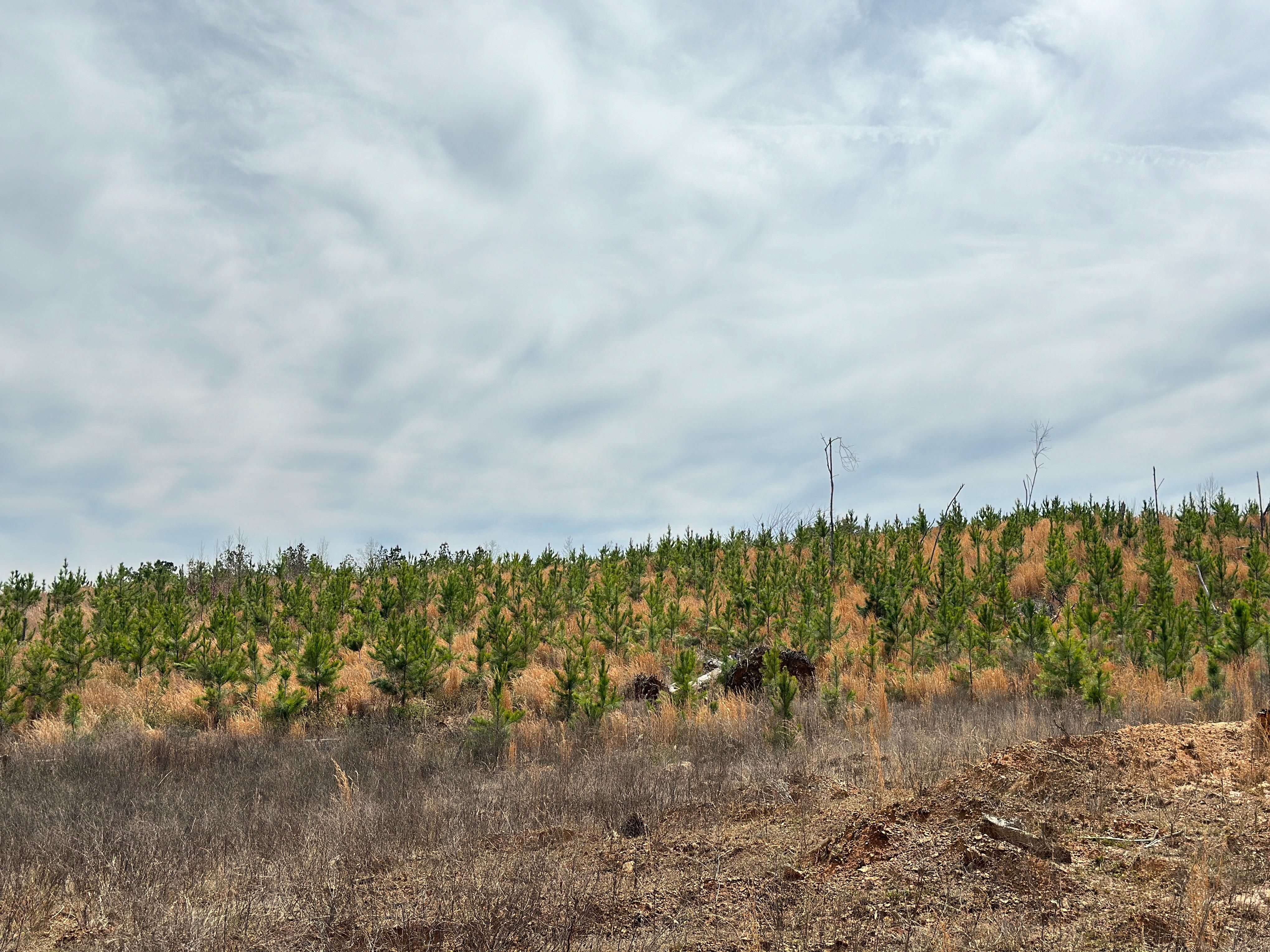 County Road 10, Winfield, AL 35594 | Land.com