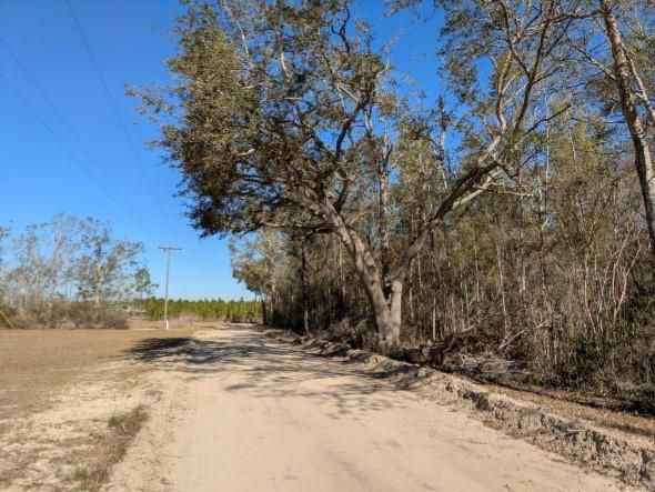 5 acres in Jennings, FL, 32053 | Land.com