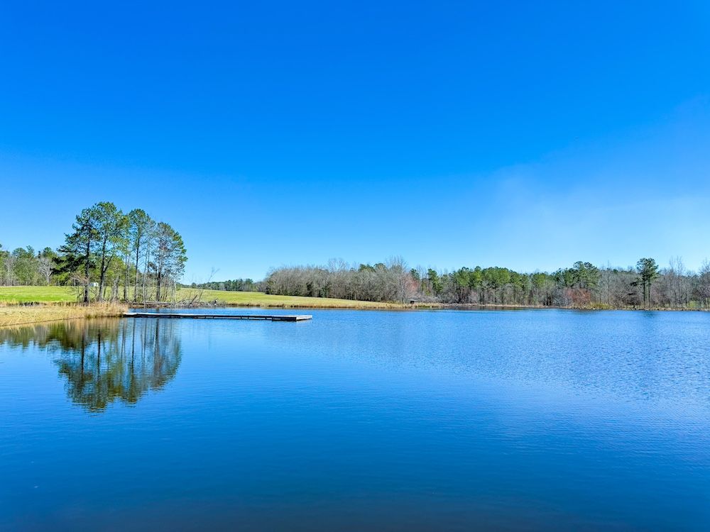 398 Antioch Church Rd, Jefferson, SC 29718 | Land.com