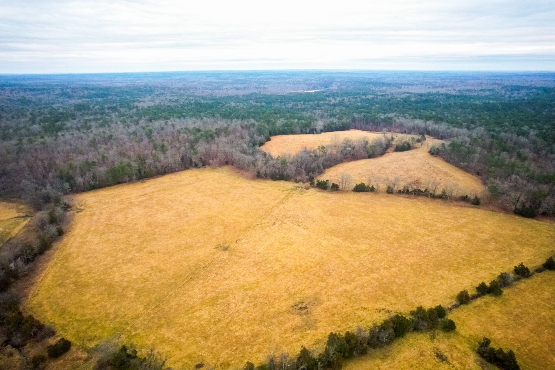 62 Acres, Shannon County, MO, Birch Tree, MO 65438 | Land.com