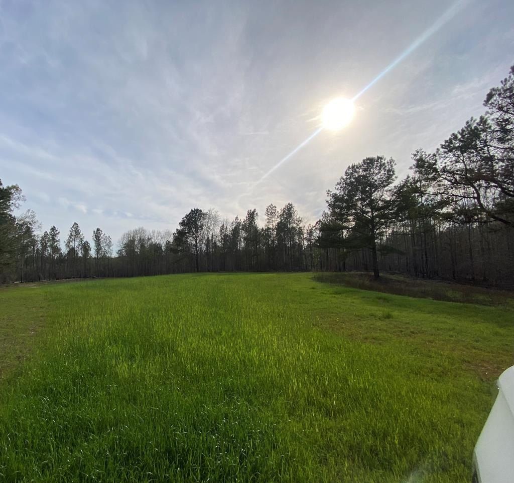 02 County Road 6650, Banks, AL 36005 | MLS: 27568 | Land.com