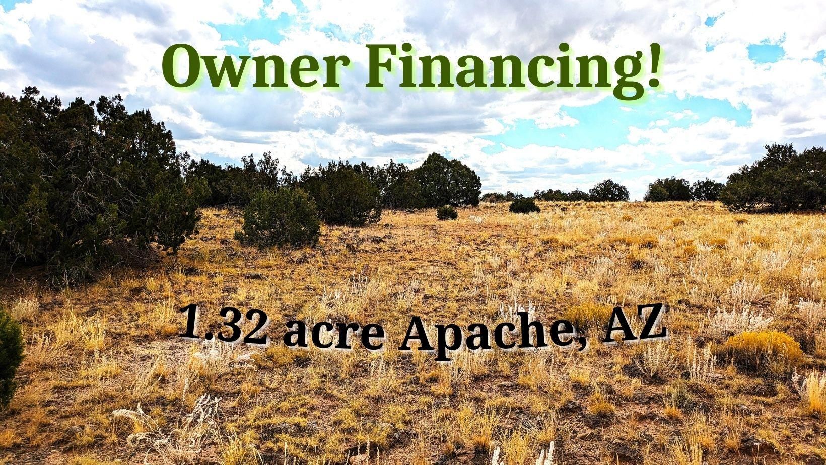 Cayuse Lane, Concho, AZ 85924 | MLS: 201-40-123C | Land.com