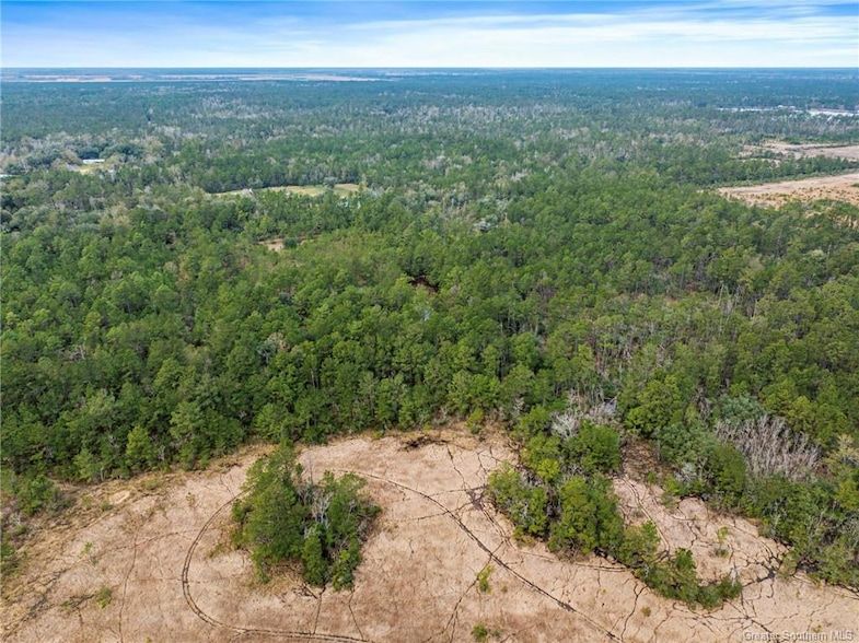 0 Edgerly Dequincy Road SWL25000333, Vinton, LA 70668 | MLS ...