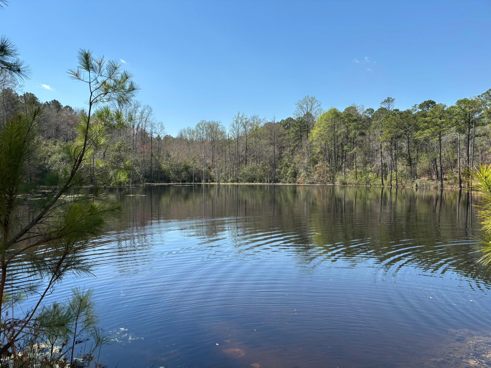 Scotch Rd, Chesterfield, SC 29709 | Land.com