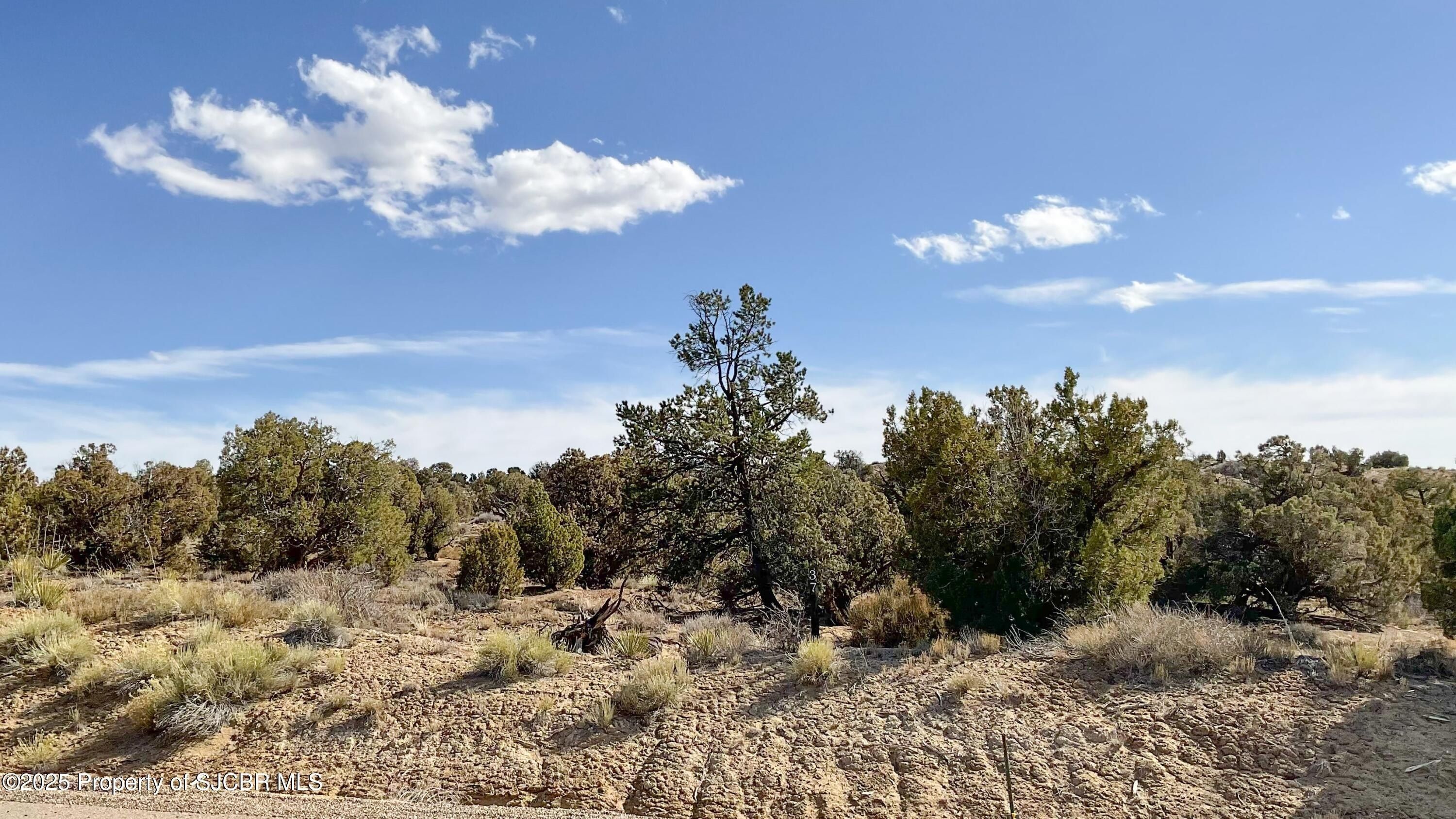 #37 ANCIENT TRAILS Circle, Aztec, NM 87410 | MLS: 25-394 | Land.com