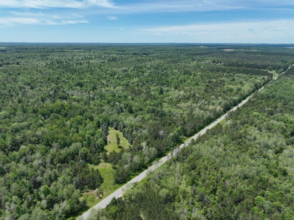 V/L 13 Mile Rd., Bitely, MI 49309 | Land.com