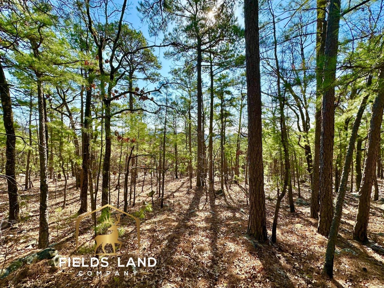 00 D4423 Rd, Lequire, OK 74943 | Land.com