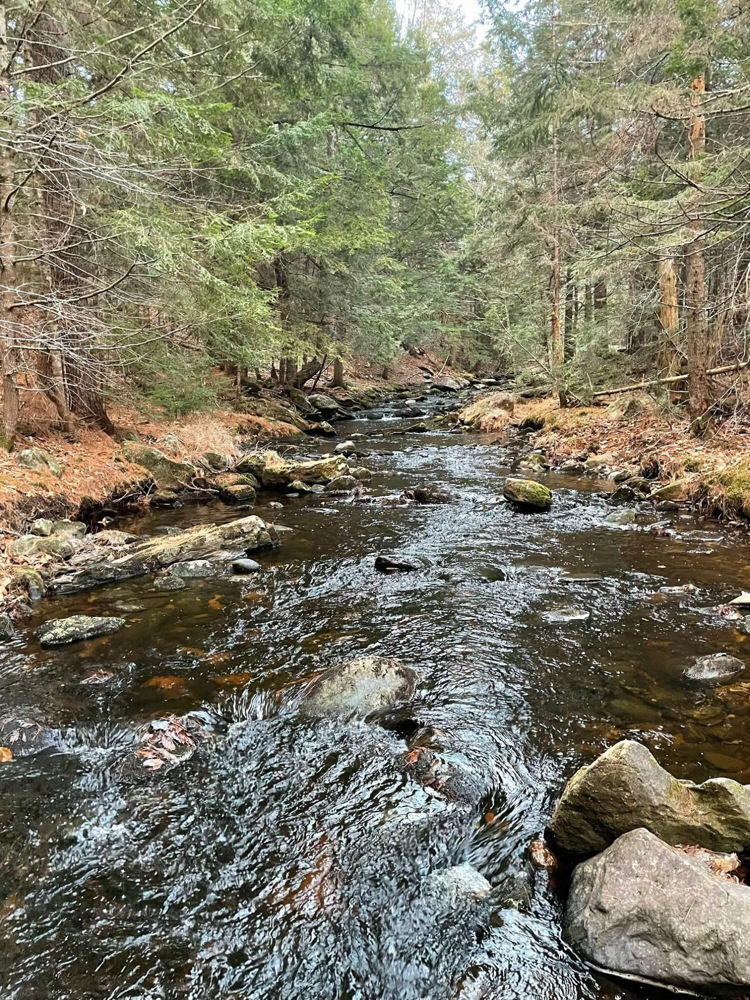 039-007 Bog Brook Loop, West Paris, ME 04088 | MLS: 1617867 | Land.com