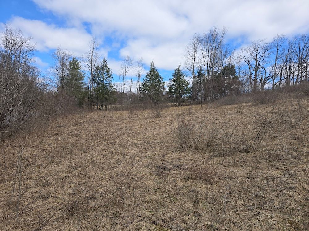 Lot A Stein Rd, Lot#WP00A, Greene, NY 13778 | MLS: 11462101 | Land.com