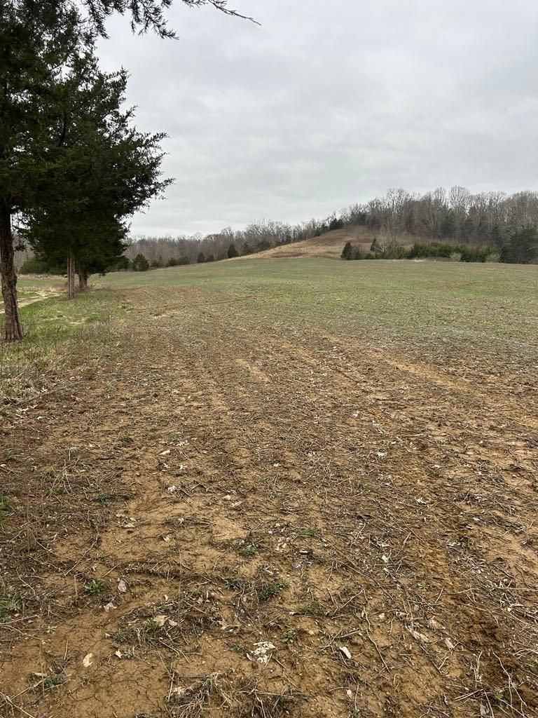 Cabin Creek Road, Trinity, KY 41179 | MLS: cabin creek 1 | Land.com