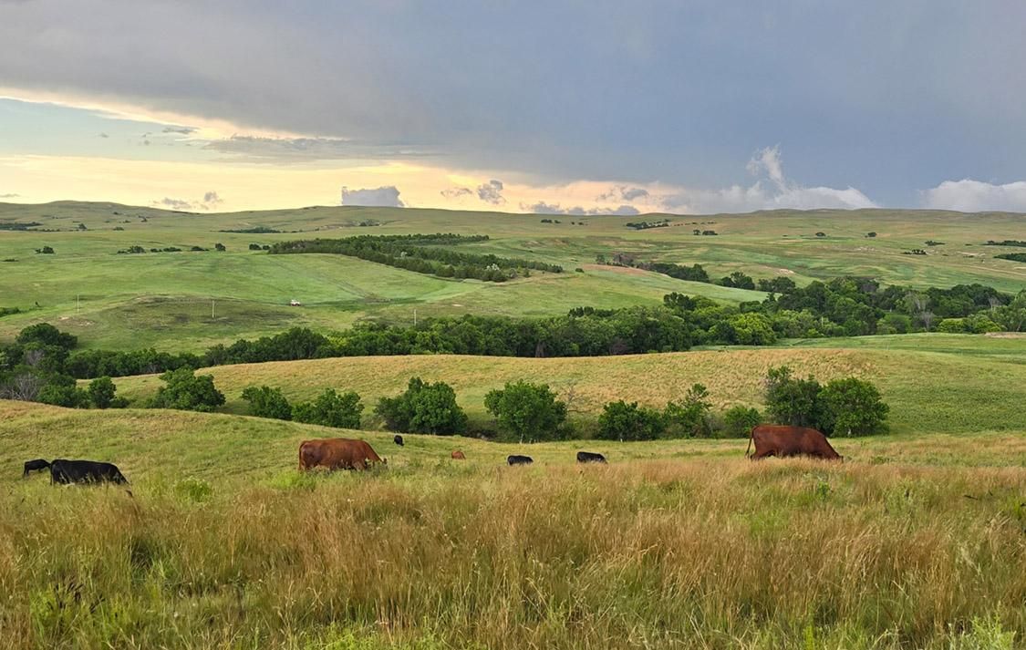 22314 Bud Rd, Martin, SD 57551 | Land.com