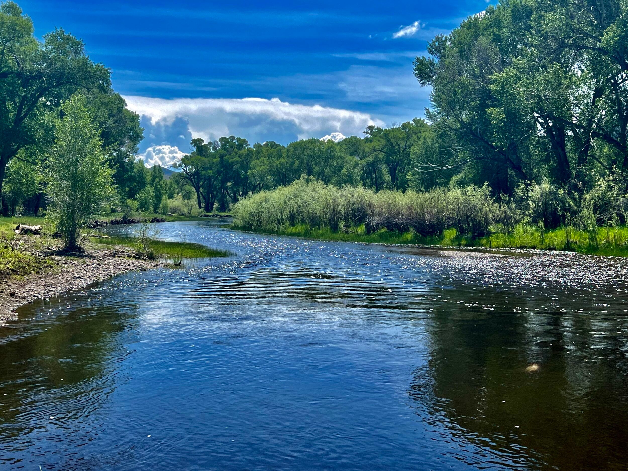 12300 County Road 20, Manassa, CO 81141 | Land.com