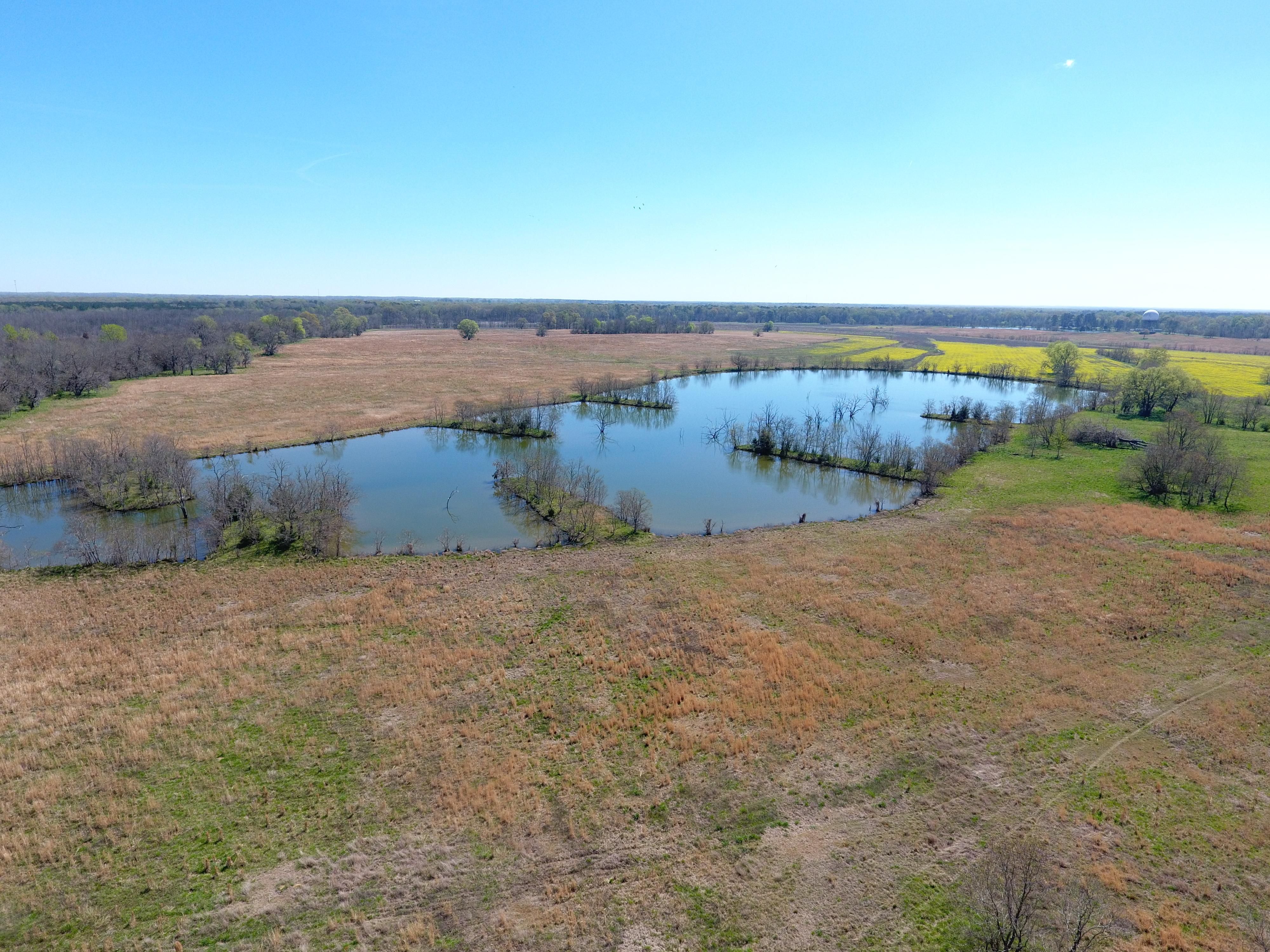 20 acres in Ramer, AL, 36069 | MLS: 573837 | Land.com