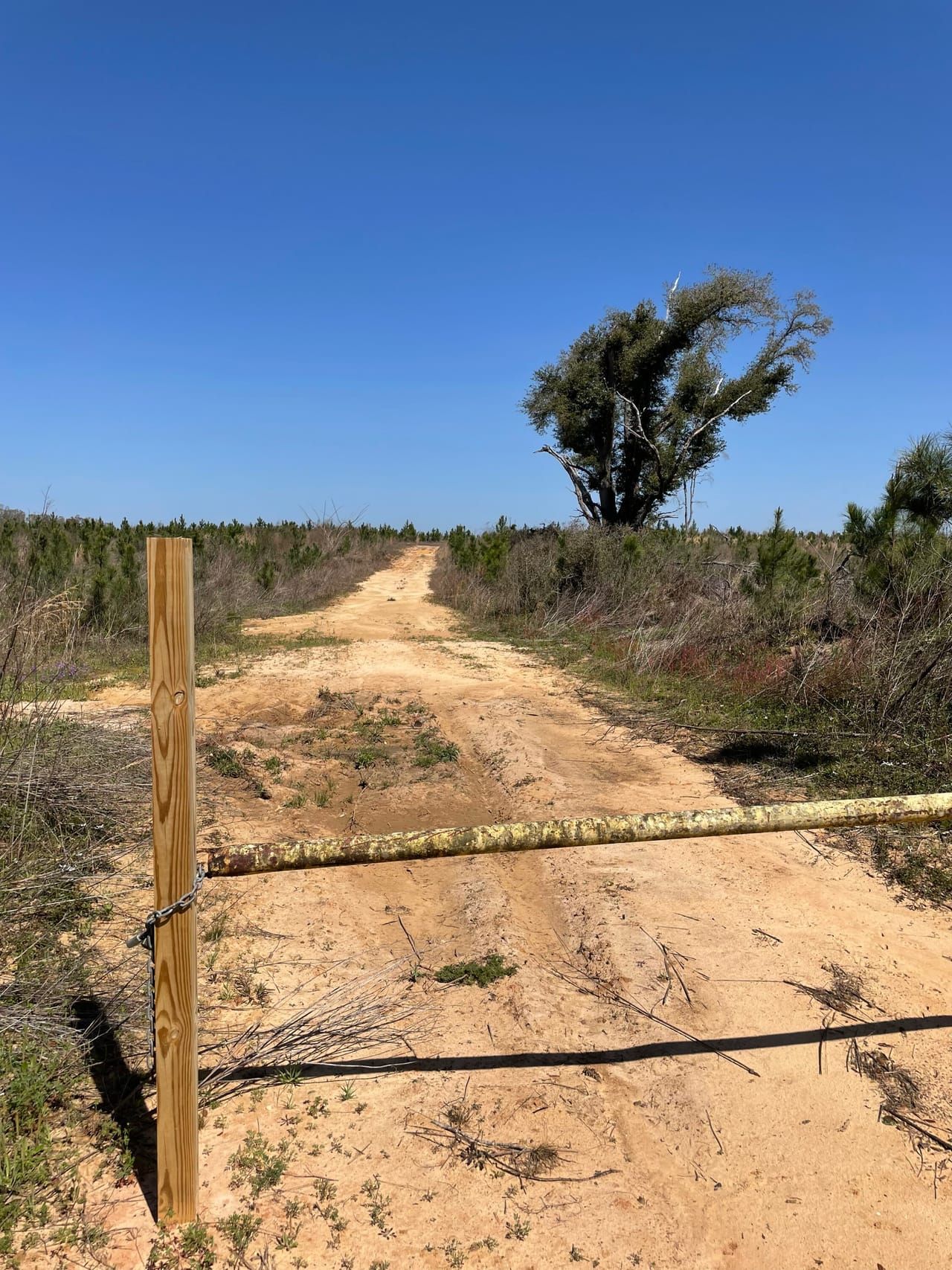 Davis Circle, Wing, AL 36483 | Land.com