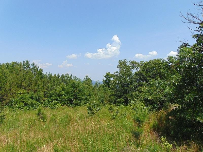 9.34 acres in Wister, OK, 74966 | Land.com