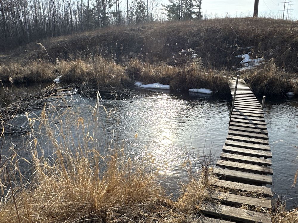 N 10501 Cty Hwy M, Springbrook, WI 54875 | MLS: 1590310 | Land.com