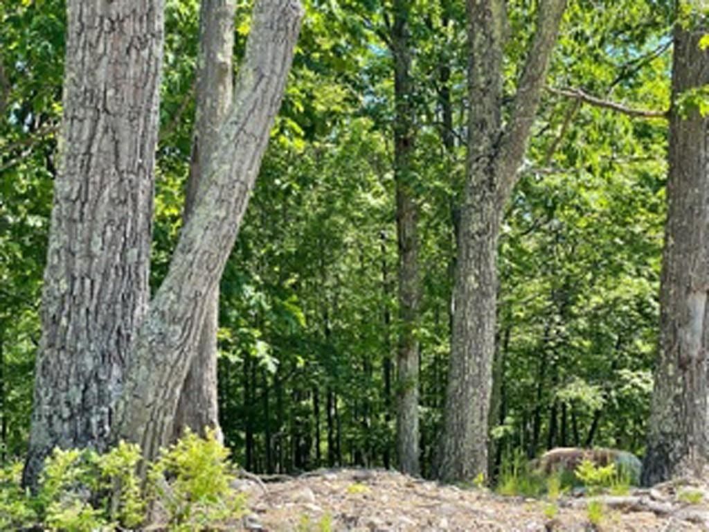 Us-209, Wurtsboro, NY 12790 | MLS: 847992 | Land.com