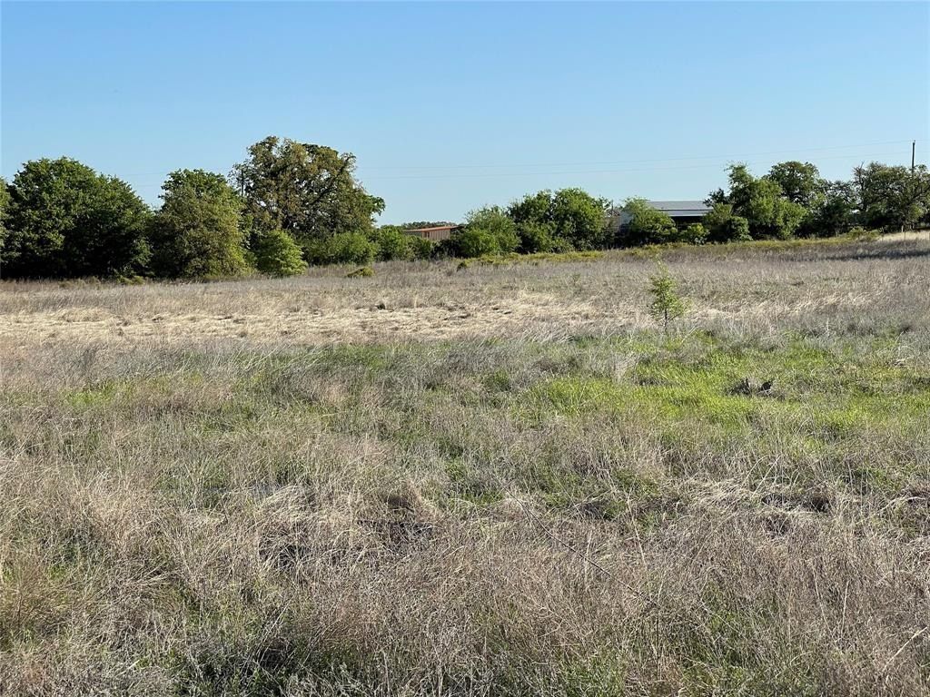 288 Kickapoo Court, Lipan, TX 76462 | MLS: 20901033 | Land.com