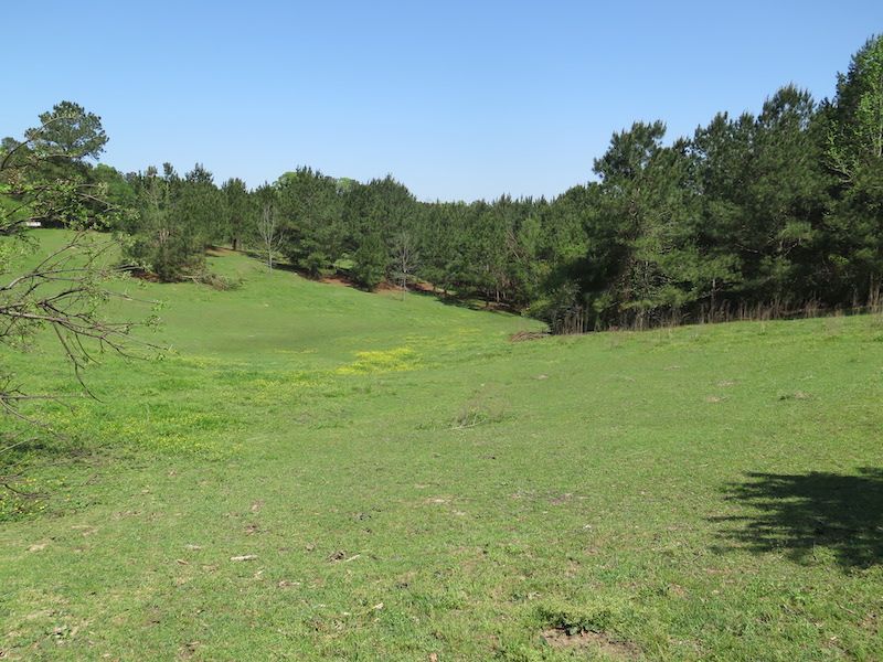 off County Road 1682, Louin, MS 39338 | Land.com