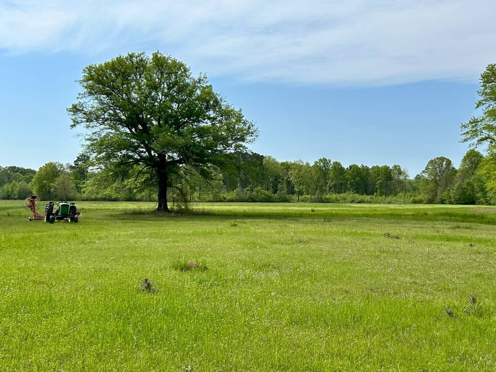 7621 County Road 35, Ethelsville, AL 35461 | MLS: 11473386 | Land.com