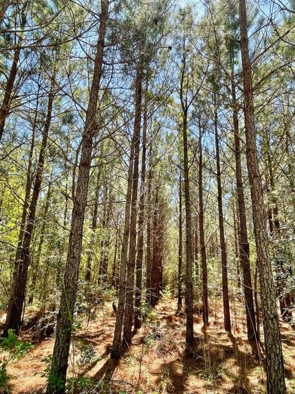 Harry Priddy Road, Americus, GA 31719 | MLS: 10499666 | Land.com