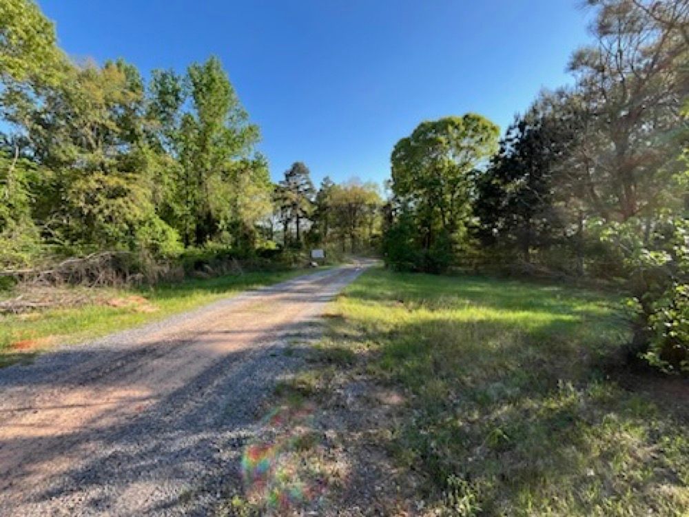 Catahoula Church RD., Lot#WP001, Harrisonburg, LA 71340 | Land.com