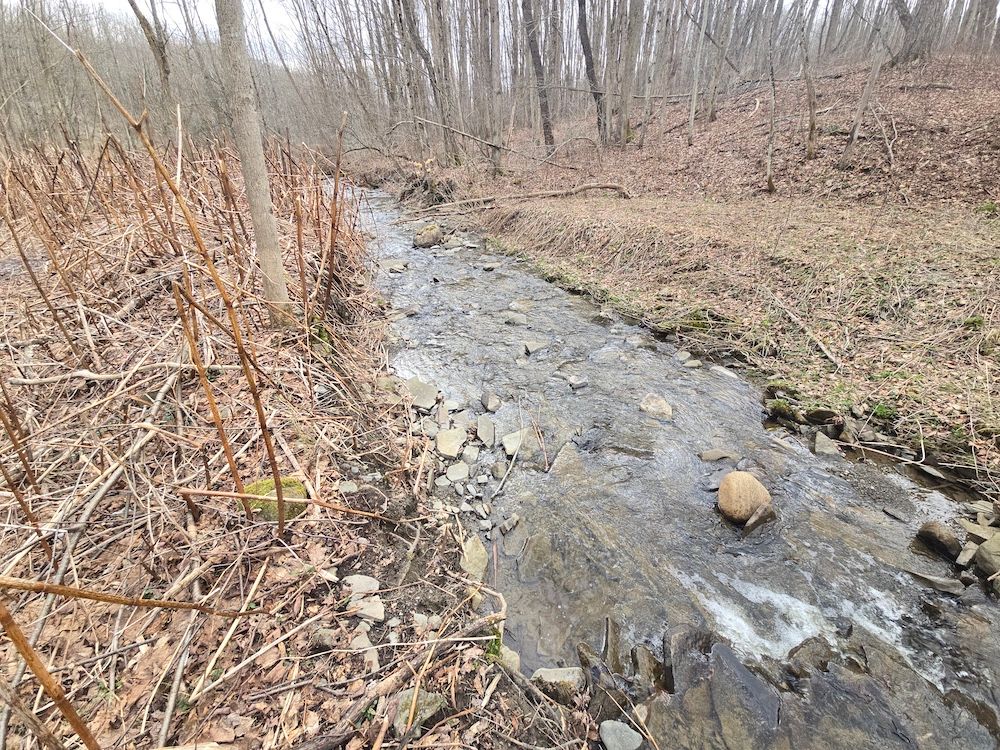 0WP Syrian Hill Rd, Solon, NY 13101 | MLS: 11474291 | Land.com