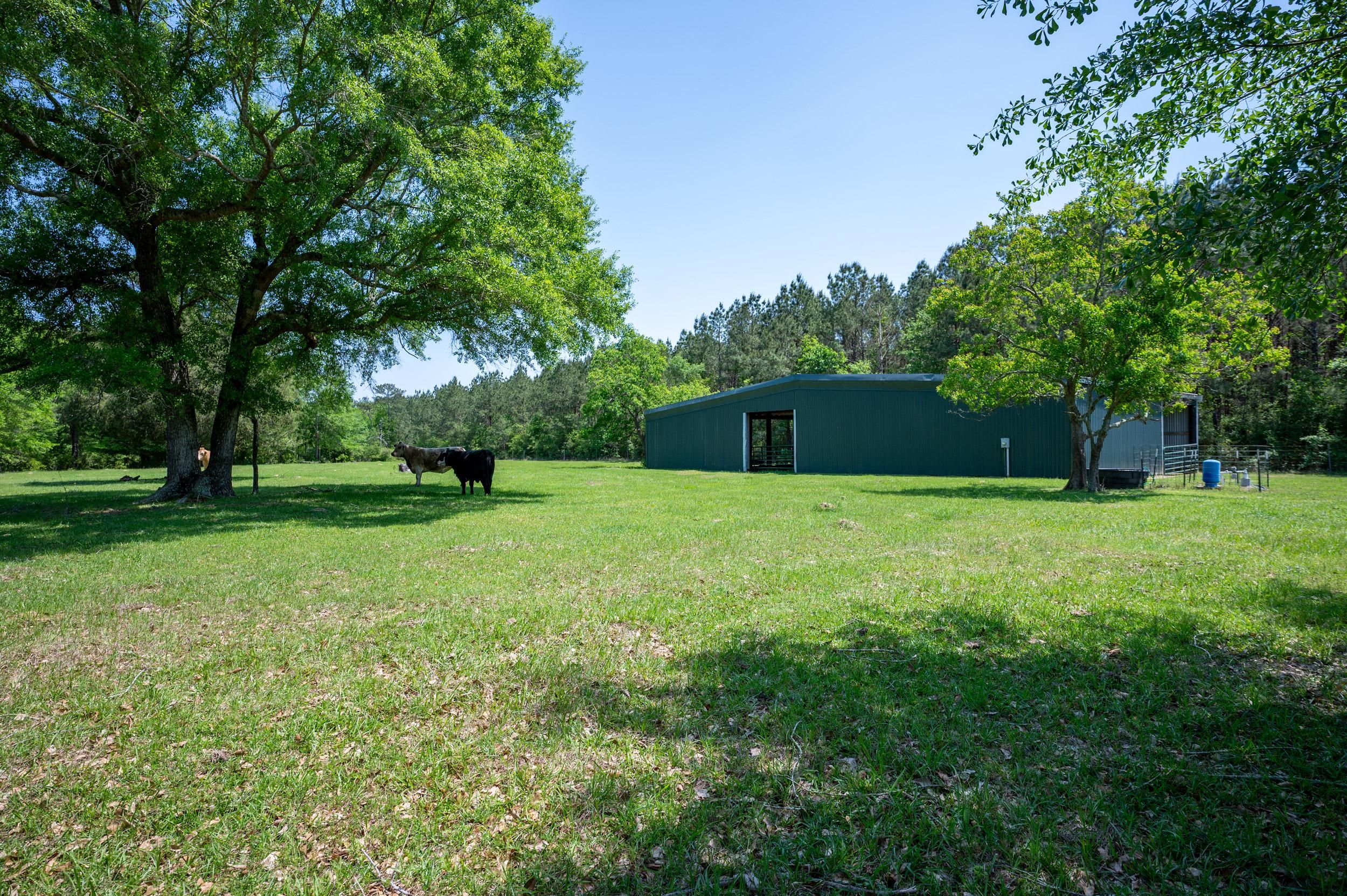 Off Farm to Market 1943, Warren, TX 77664 | Land.com