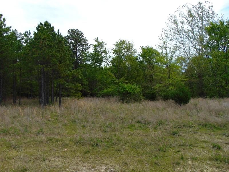 34 acres in Red Oak, OK, 74563 | Land.com