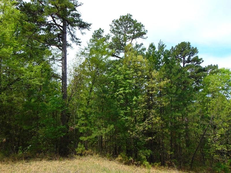 18.88 acres in Red Oak, OK, 74563 | Land.com