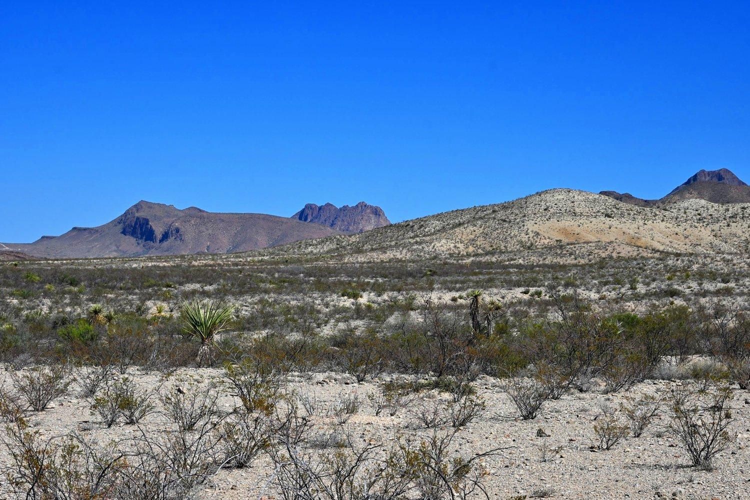 Comanche Prairie, Terlingua, TX 79852 | Land.com