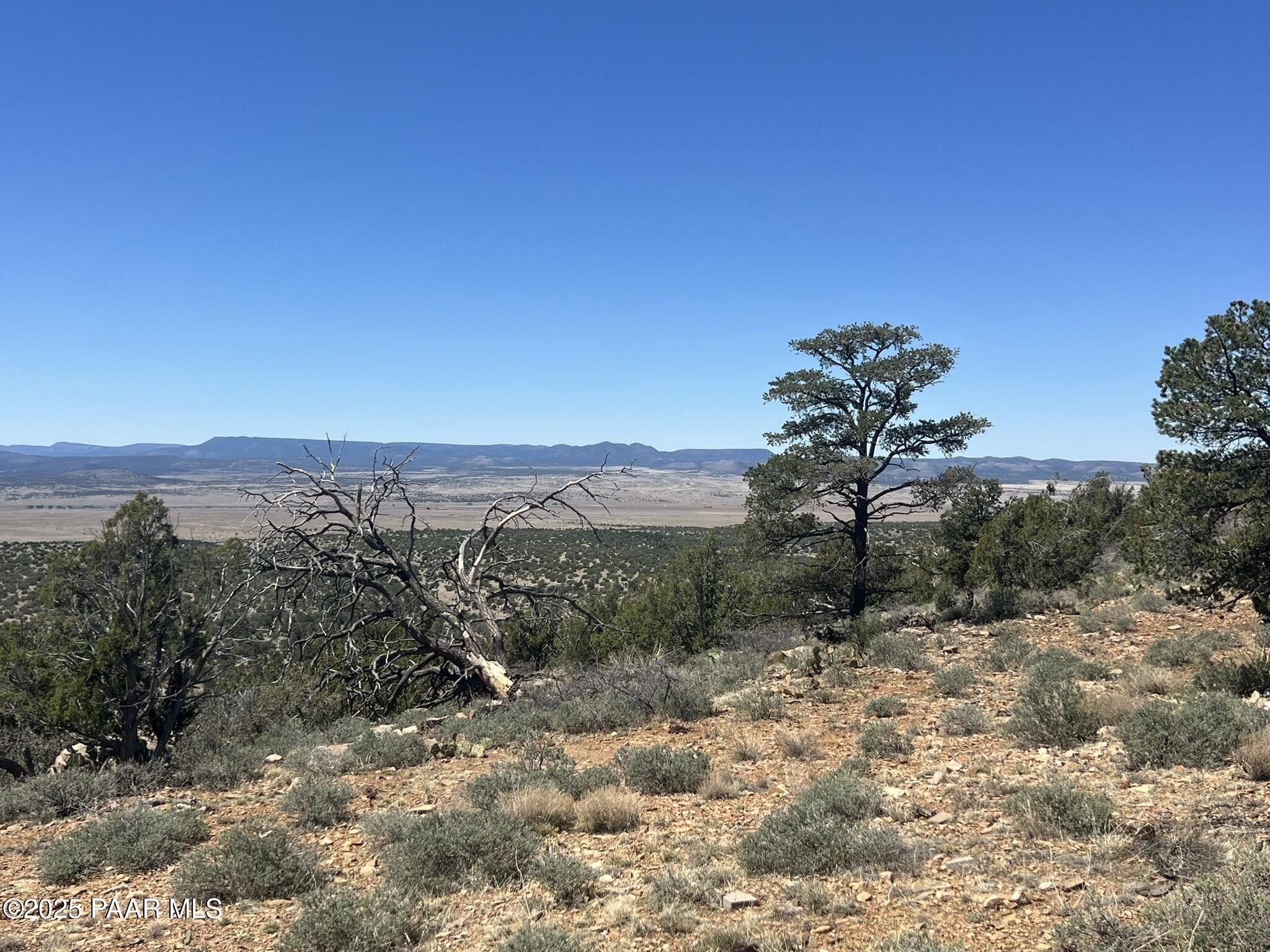 295 Old Deputy Shortline, Ash Fork, AZ 86320 | MLS: 1072585 | Land.com