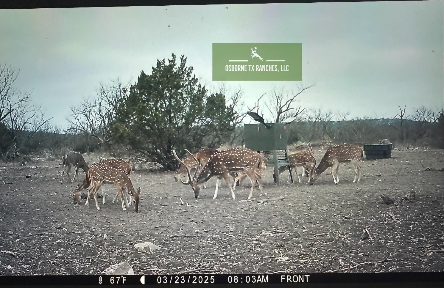 77.76 acres in Rocksprings, TX, 78880 | Land.com