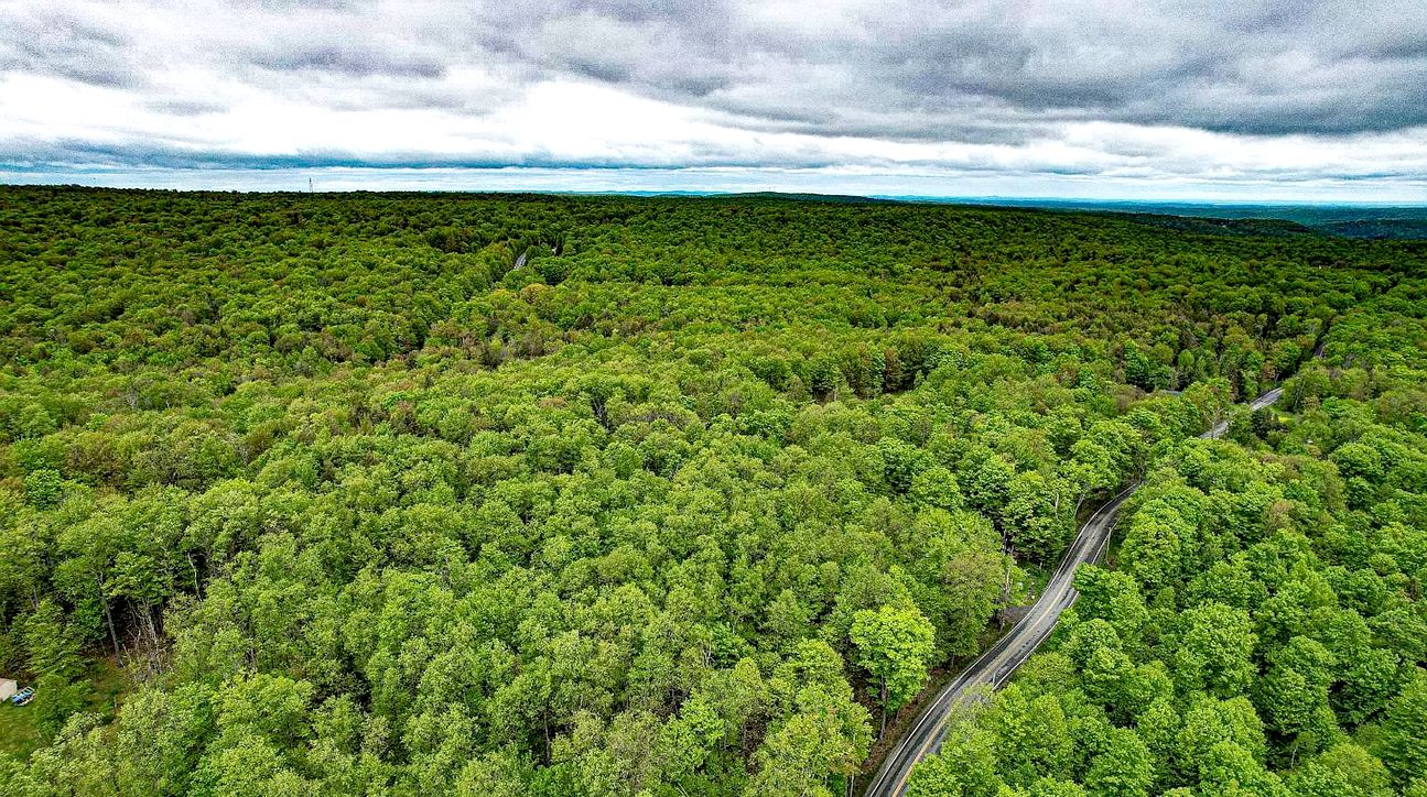 Ruff Rd, Canadensis, PA 18325 | Land.com