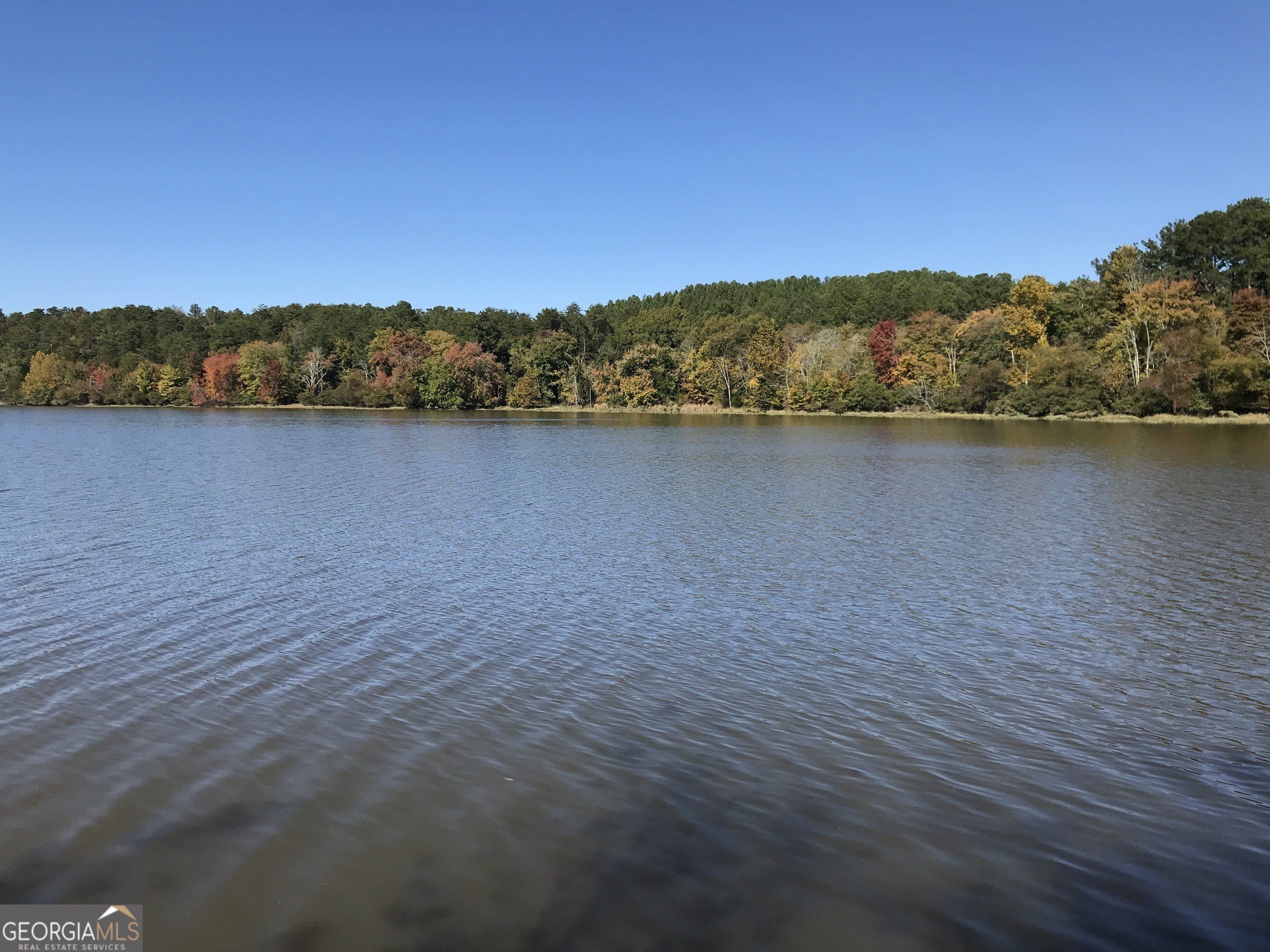 0 Red Bone Ridge, Ranger, GA 30734 | MLS: 20125600 | Land.com