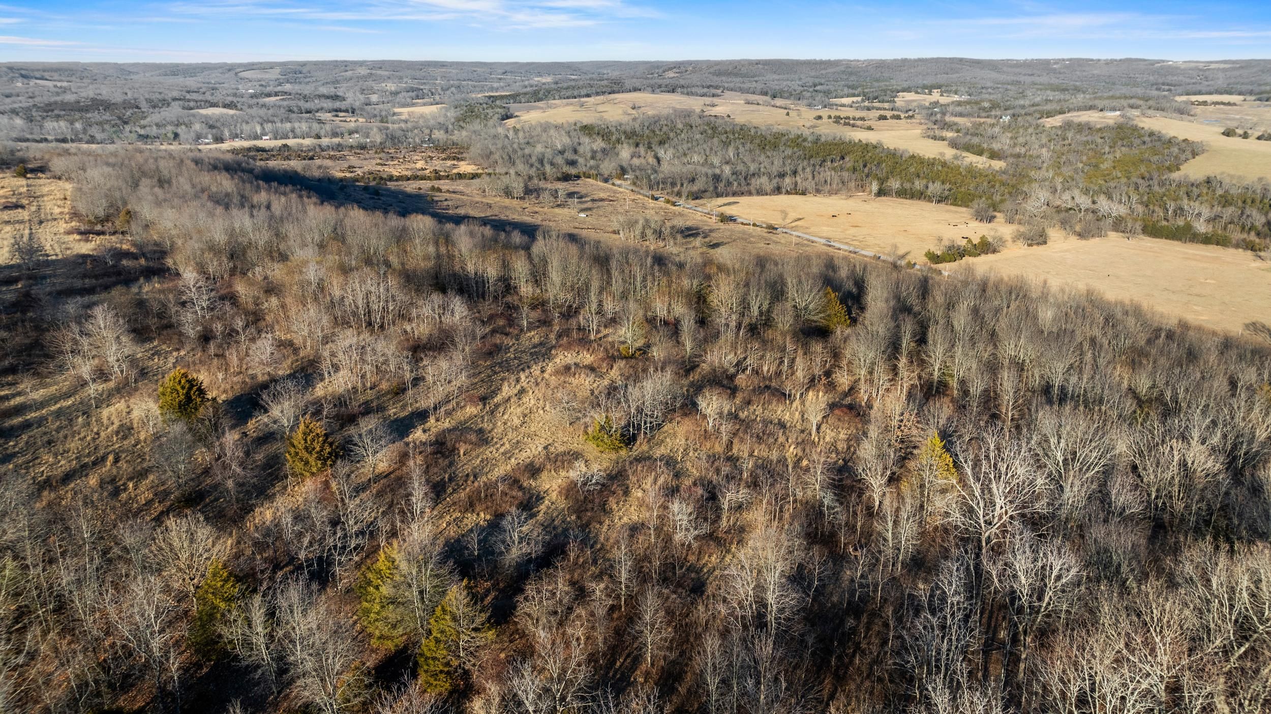 668.12 acres in Jenkins, MO, 65605 | Land.com