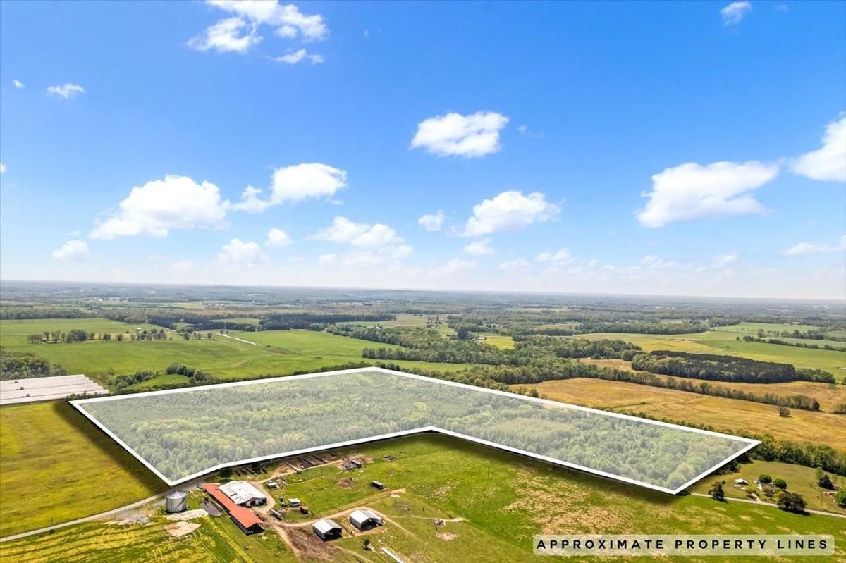 763 Caney Branch Road, Morrison, TN 37357 | MLS: 2823557 | Land.com