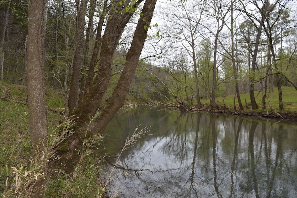 Nathan Haynes Road, Lot#WP001, Monticello, KY 42633 | Land.com