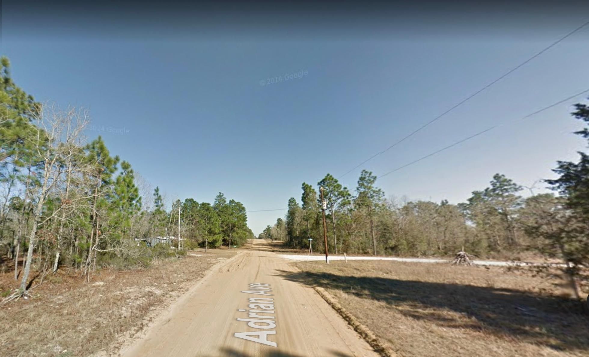 Adrian Ave, Interlachen, FL 32148 | Land.com