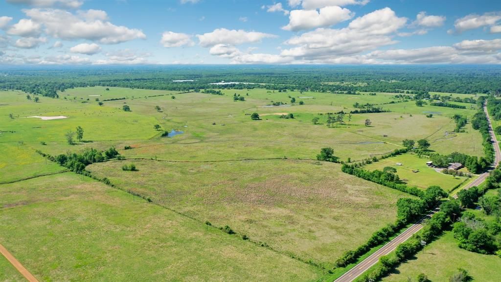 Farm to Market 977, Leona, TX 77871 | Land.com