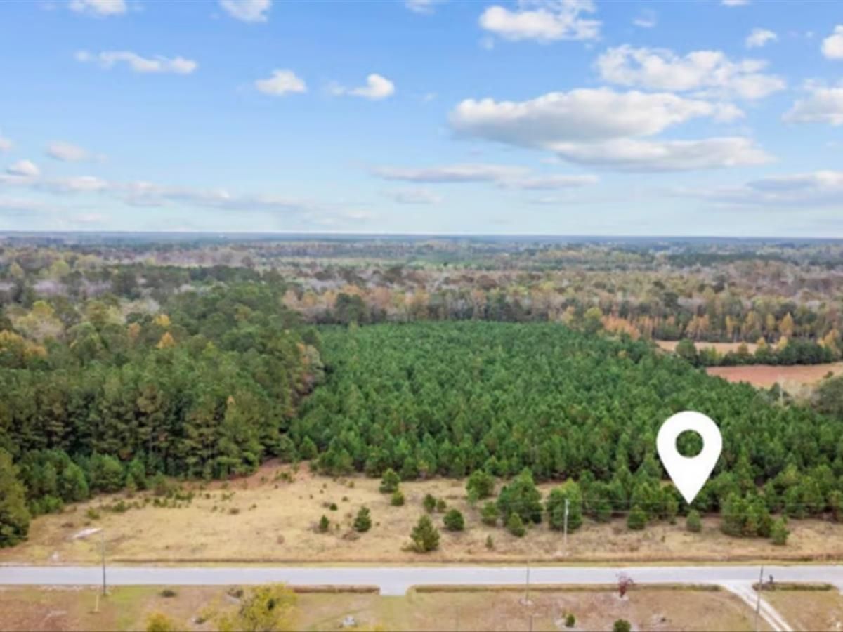 Creek Landing Rd, Nichols, SC 29581 | Land.com
